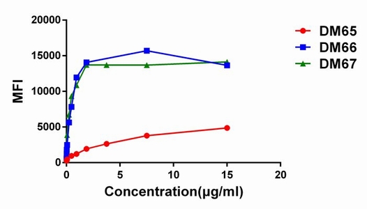 4-1BB (DM66) Rabbit mAb - NewEast Biosciences - GTPase, Oncogene and Bioactive Protein